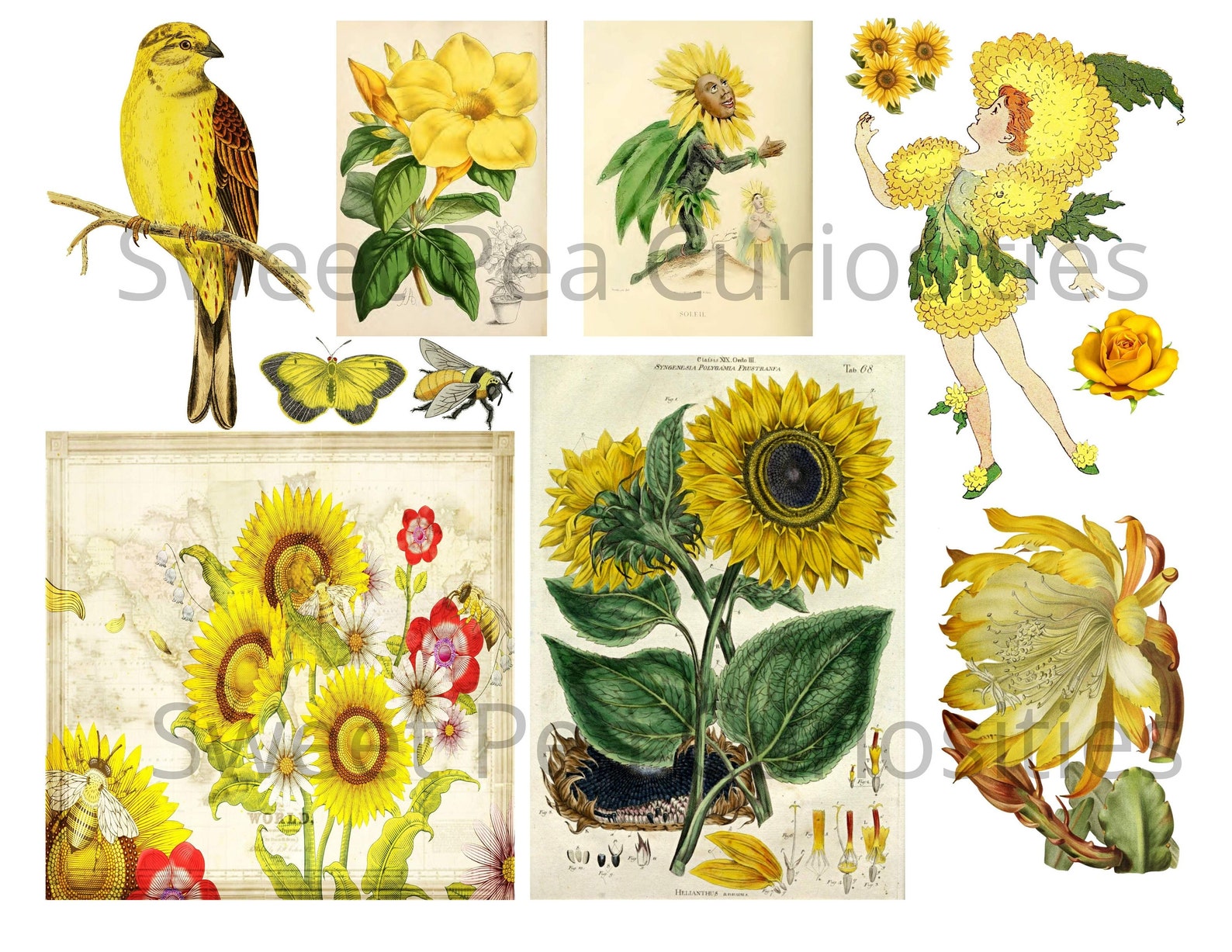 Yellow Ephemera, Collage Paper, Junk Journal, Mixed Media, Ephemera ...