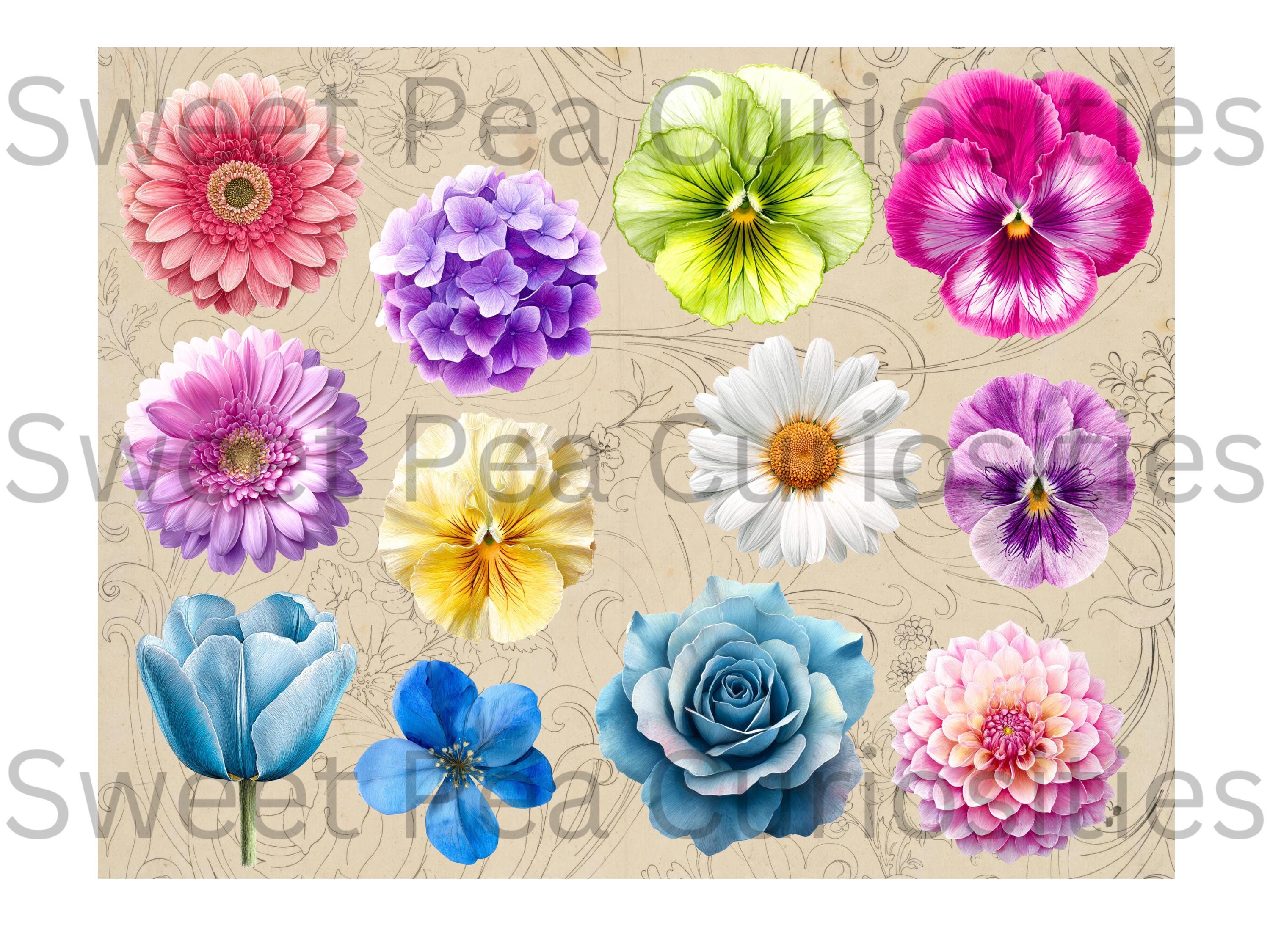 Flower Kit , Over 100+ Flowers, Fussy Cut Ephemera, Journal Decoration ...