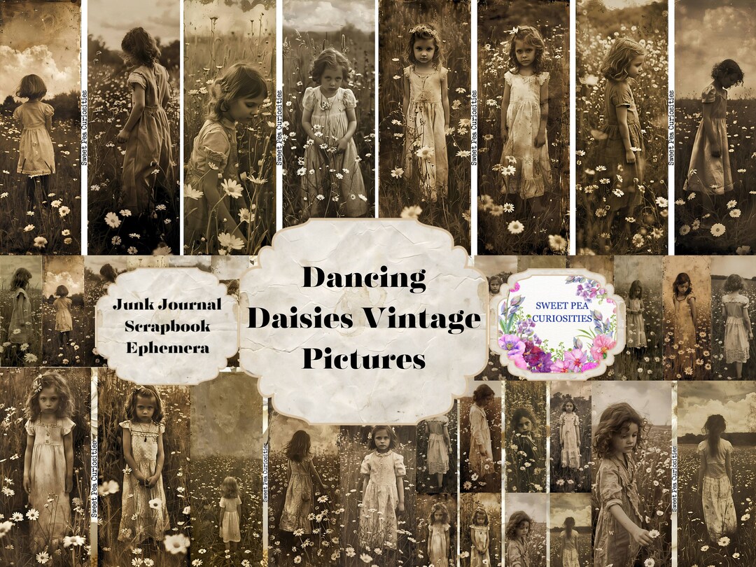 Dancing Daisies, Sepia, Vintage, Photo, Grungy, Digital, Download ...