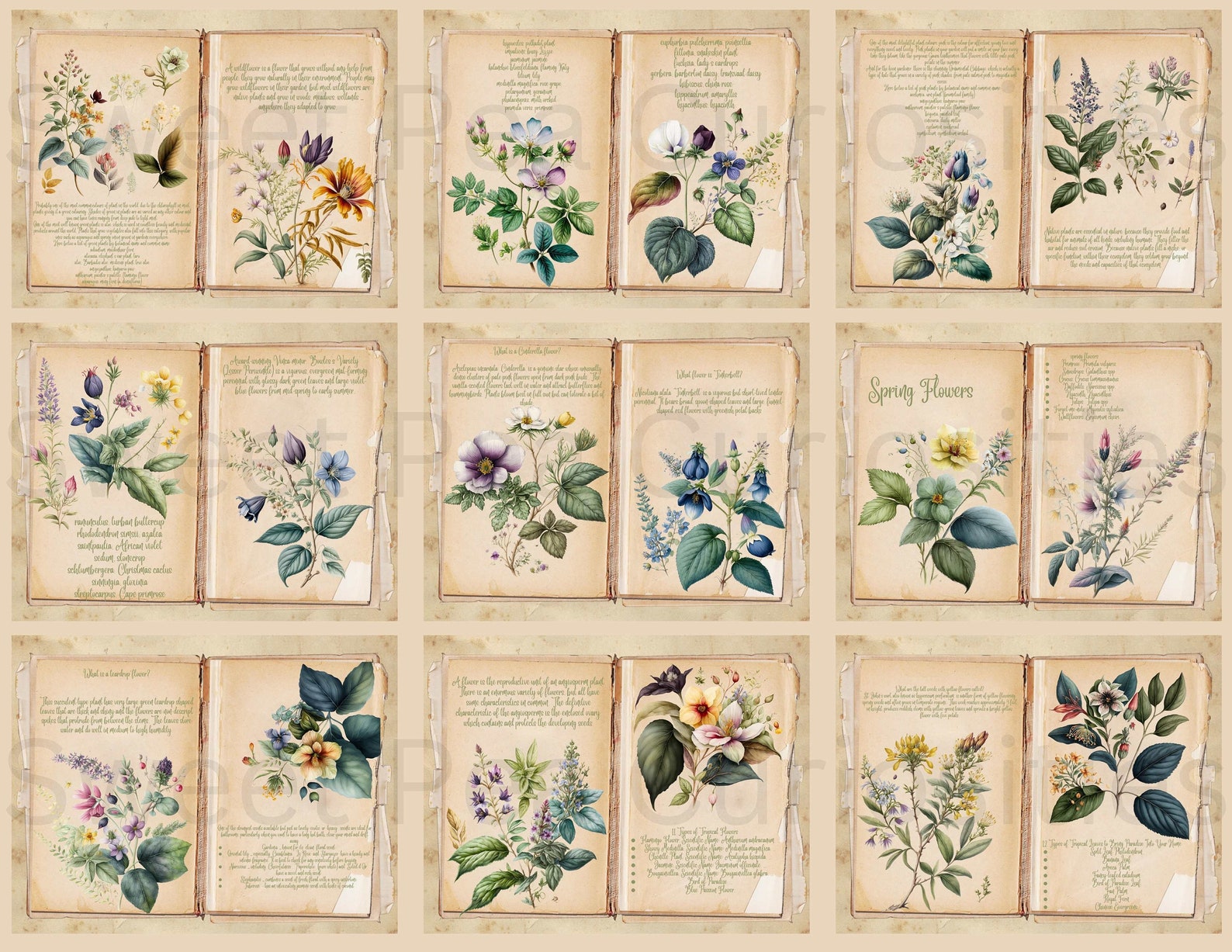 Flower Book, Digital, Download, Printable, Junk Journal, Supplies ...