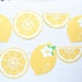 Paper Lemon Garland Banner - Etsy