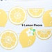 Paper Lemon Garland Banner - Etsy