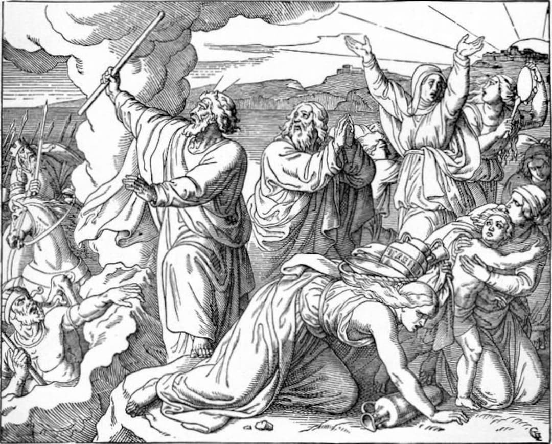 The Legacy of Moses - Treasures of the Bible - 24 Trading Cards Set - Etsy