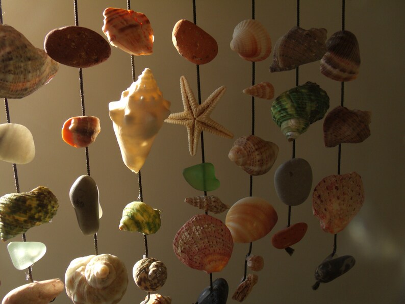 Seashell WindChime Sea Shell Mix Seashell Wind Chime Beach | Etsy
