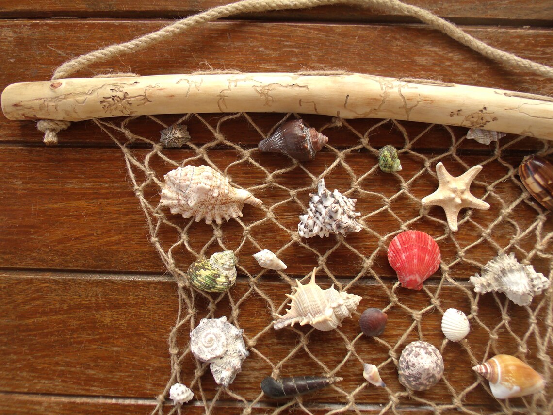 Shells in Fish Netting Sea Shells Home Decoration. Beach - Etsy