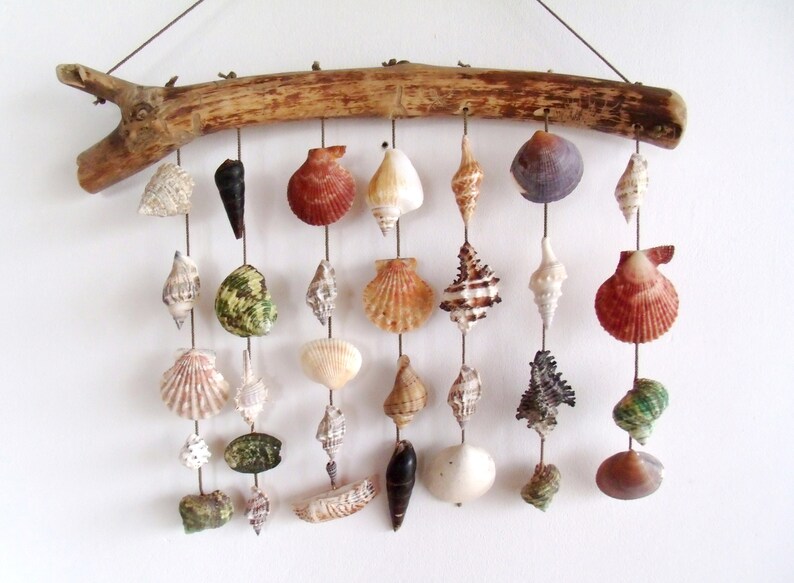 Seashell WindChime Sea Shell Mix Seashell Wind Chime Beach | Etsy