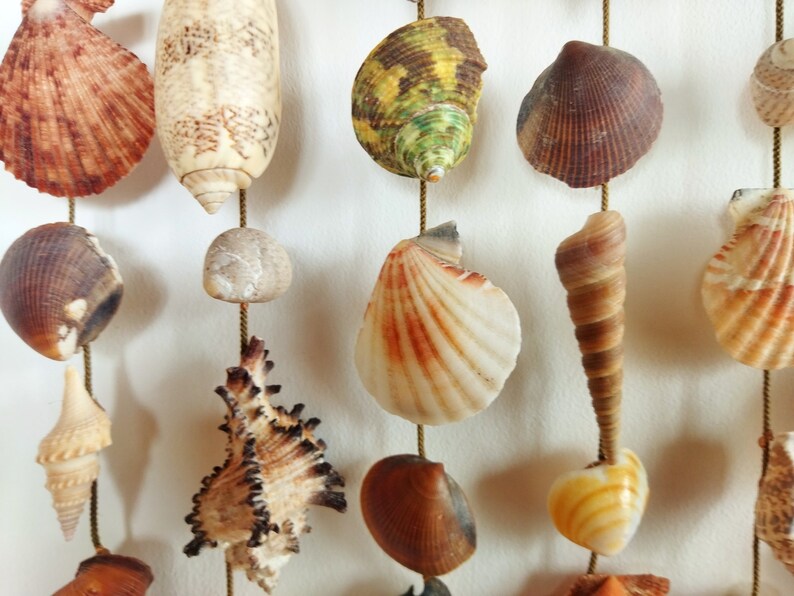 Seashell Windchime Sea Shell Mix Seashell Wind Chime Beach - Etsy