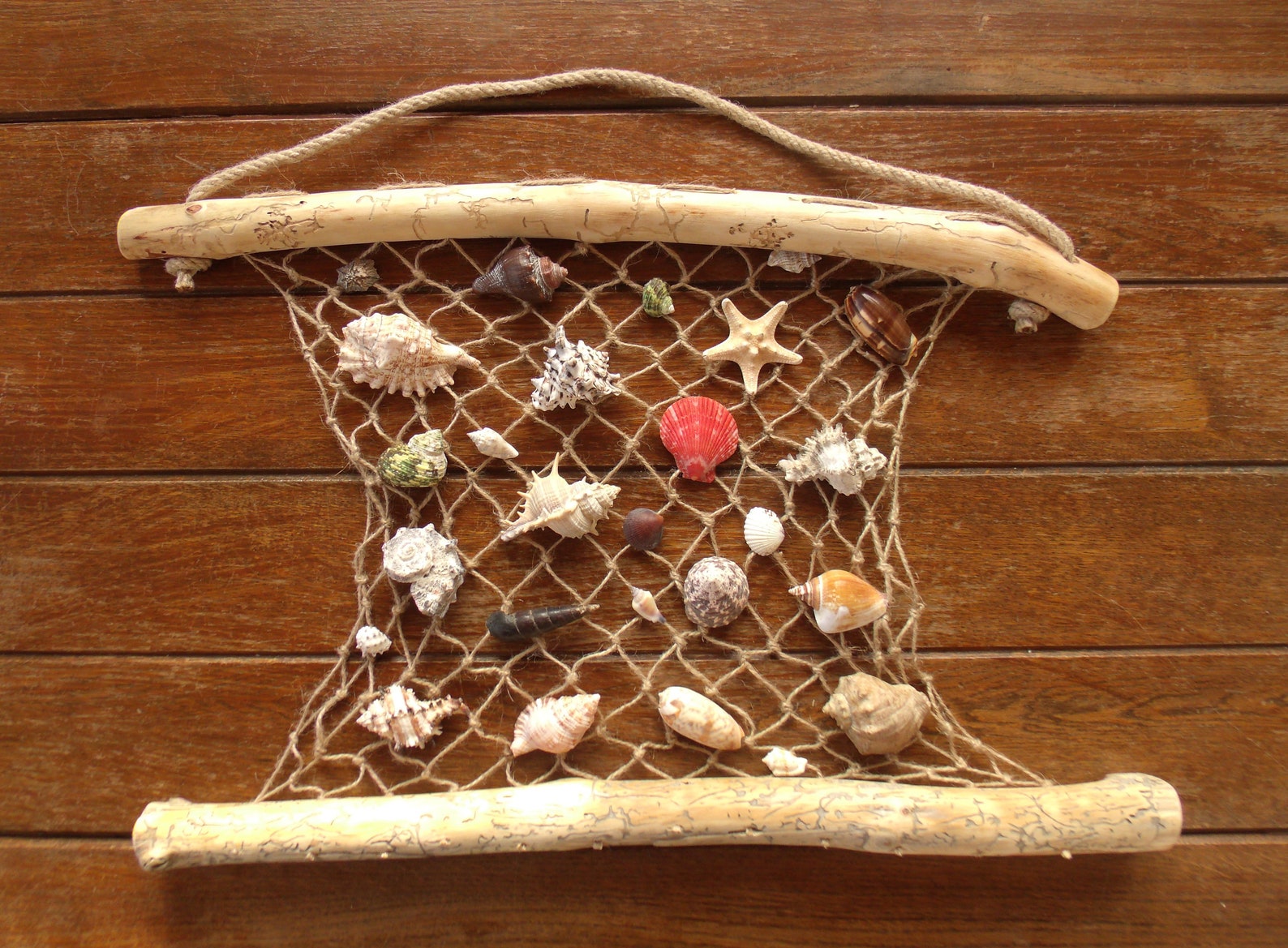 Shells in Fish Netting Sea Shells Home Decoration. Beach - Etsy