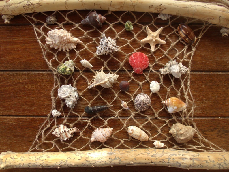Shells in Fish Netting Sea Shells Home Decoration. Beach - Etsy