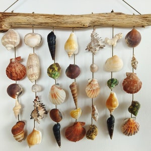 Seashell Windchime Sea Shell Mix Seashell Wind Chime Beach - Etsy