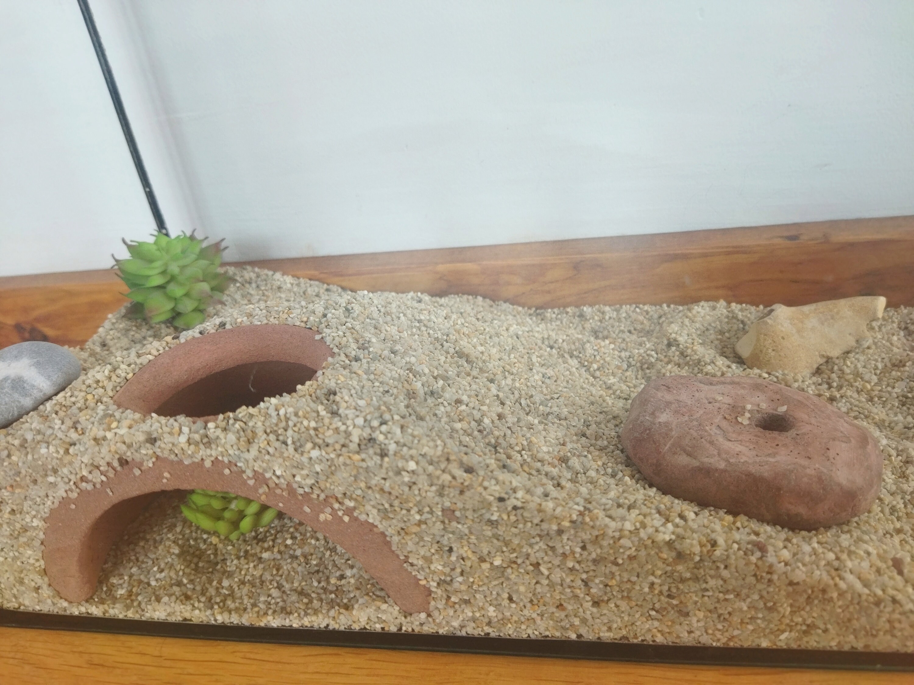 Aquarium Terrarium Underground Natural Cave - Etsy