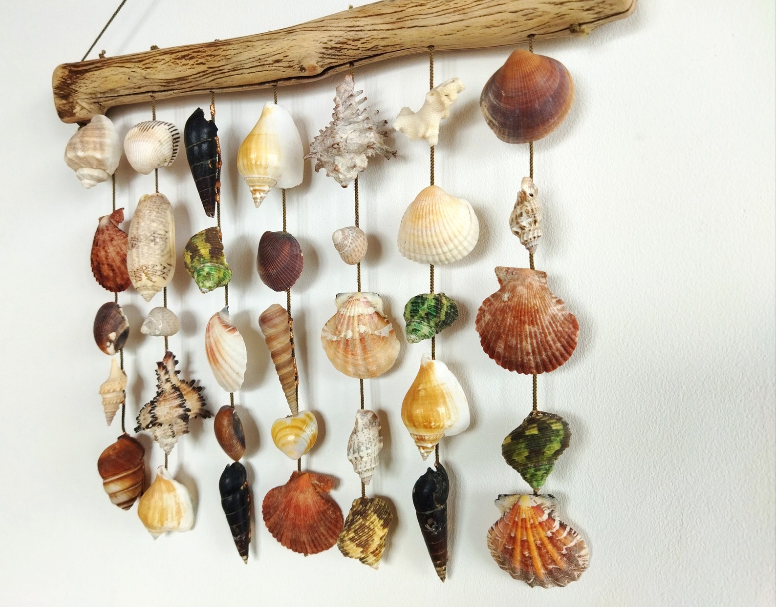 Seashell Windchime Sea Shell Mix Seashell Wind Chime Beach - Etsy