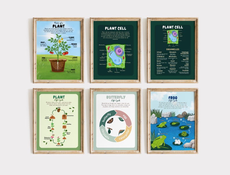 Science Posters Classroom Decor, Set of 15 Educational Scientific ...