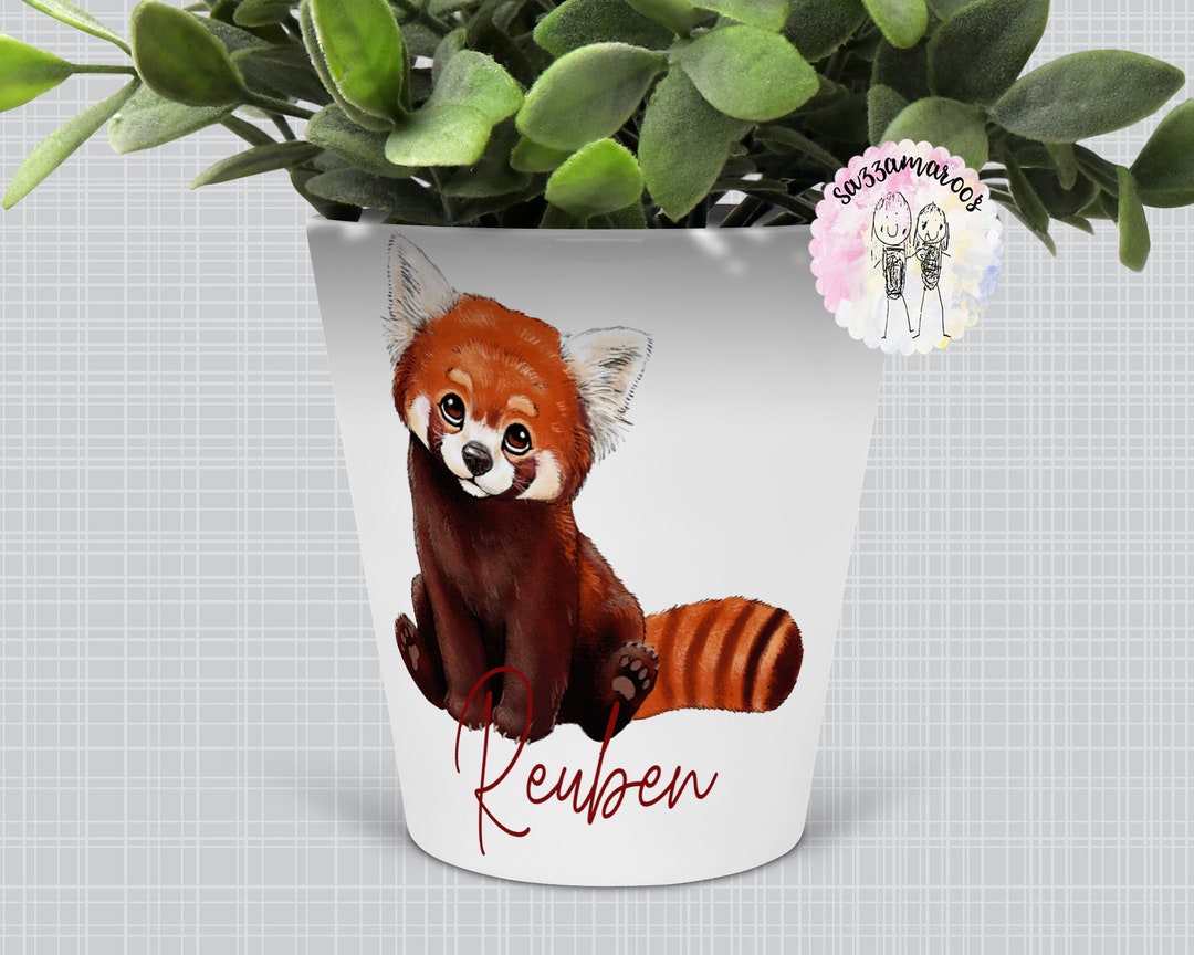 RED PANDA GIFT | Red Panda Plant Pot | Personalised Panda Planter ...