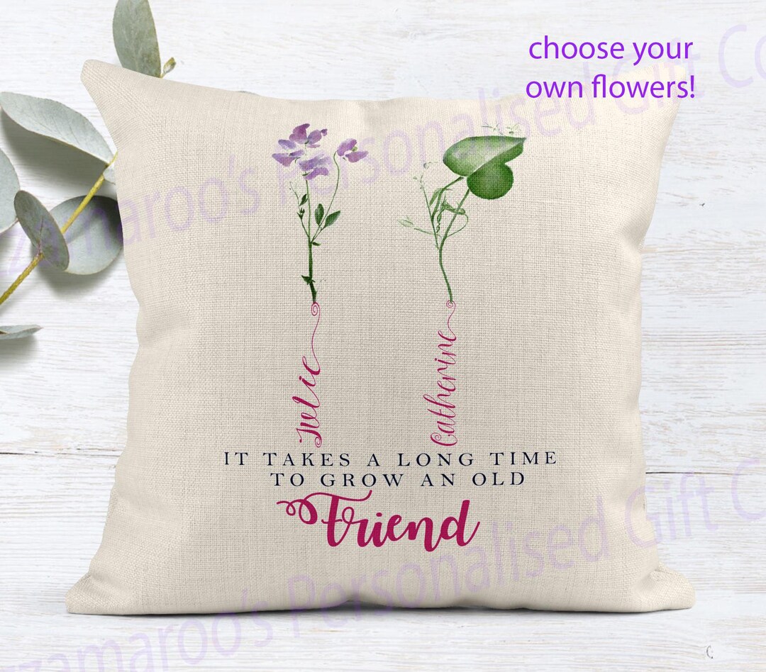 Friendship Cushion | It Takes a Long Time to Grow an Old Friend | Best ...