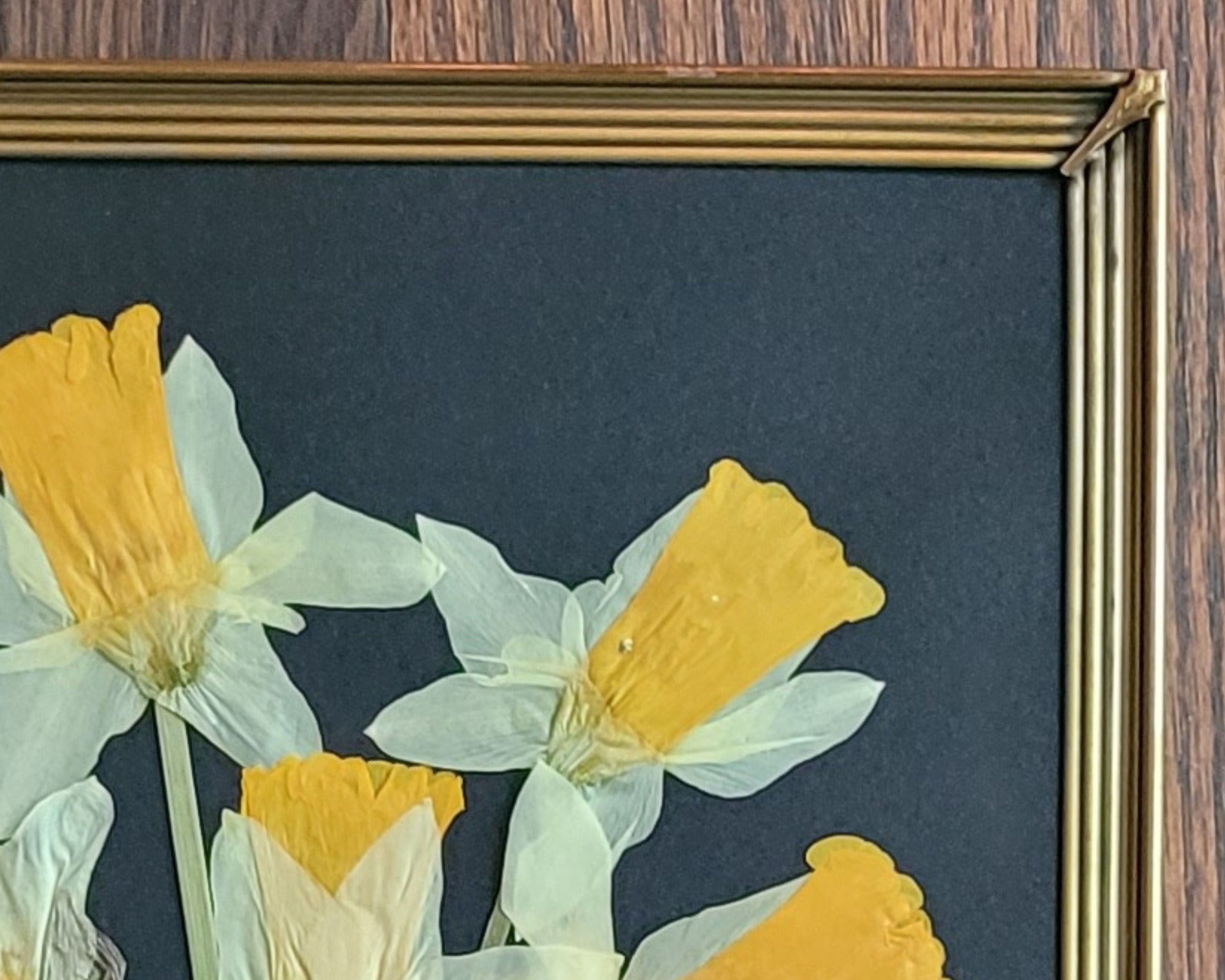 Pressed Daffodils in Vintage Brass Frame, Botanical Art Decor, Floral ...