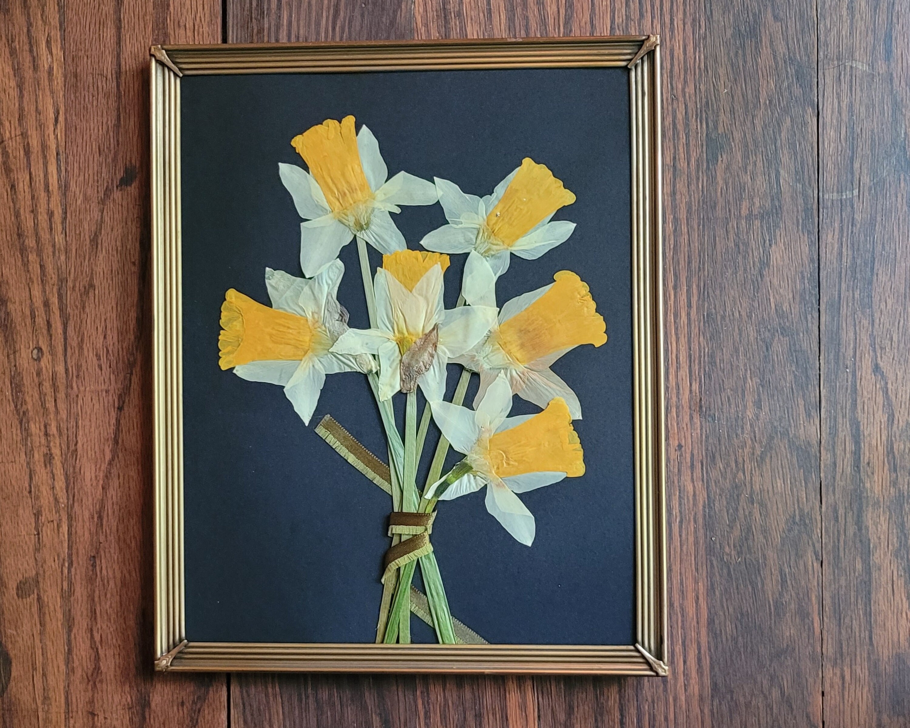 Pressed Daffodils in Vintage Brass Frame, Botanical Art Decor, Floral ...