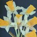 Pressed Daffodils in Vintage Brass Frame, Botanical Art Decor, Floral ...