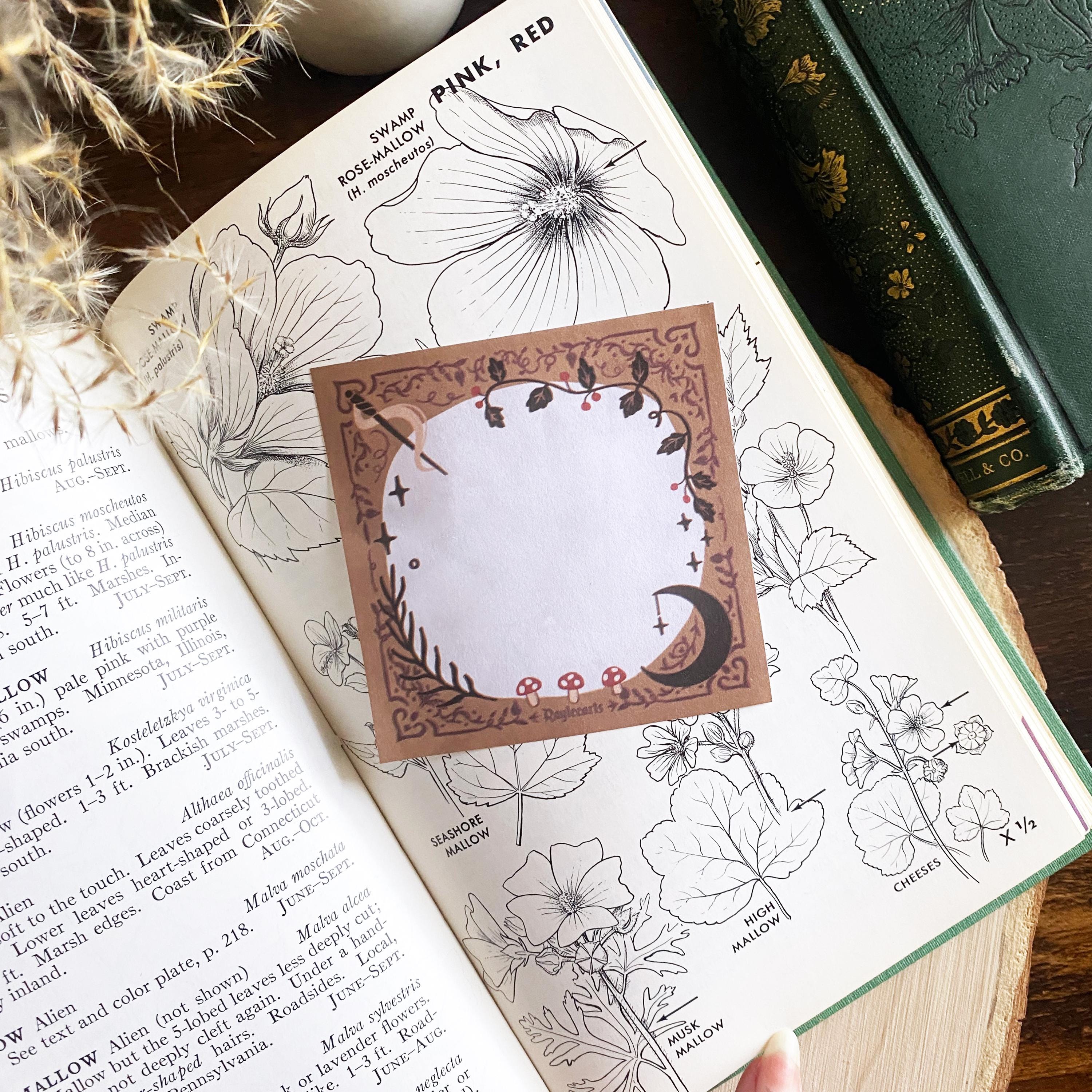 Side Quest 4x6" Notepad and 3" Sticky Notes | Stationary, Fantasy Lover ...