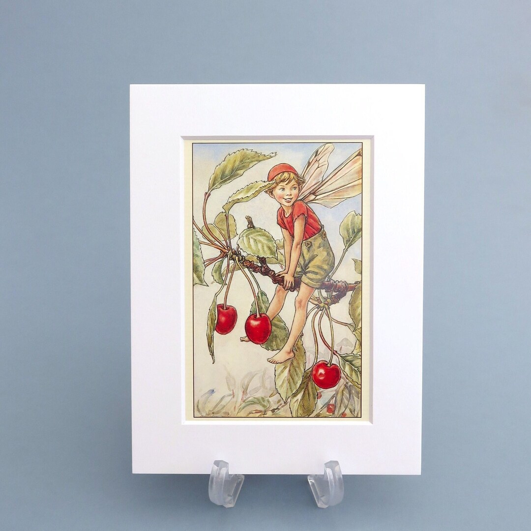 Flower Fairies Vintage Print 6x8 Inch Mounted Illustration of the ...