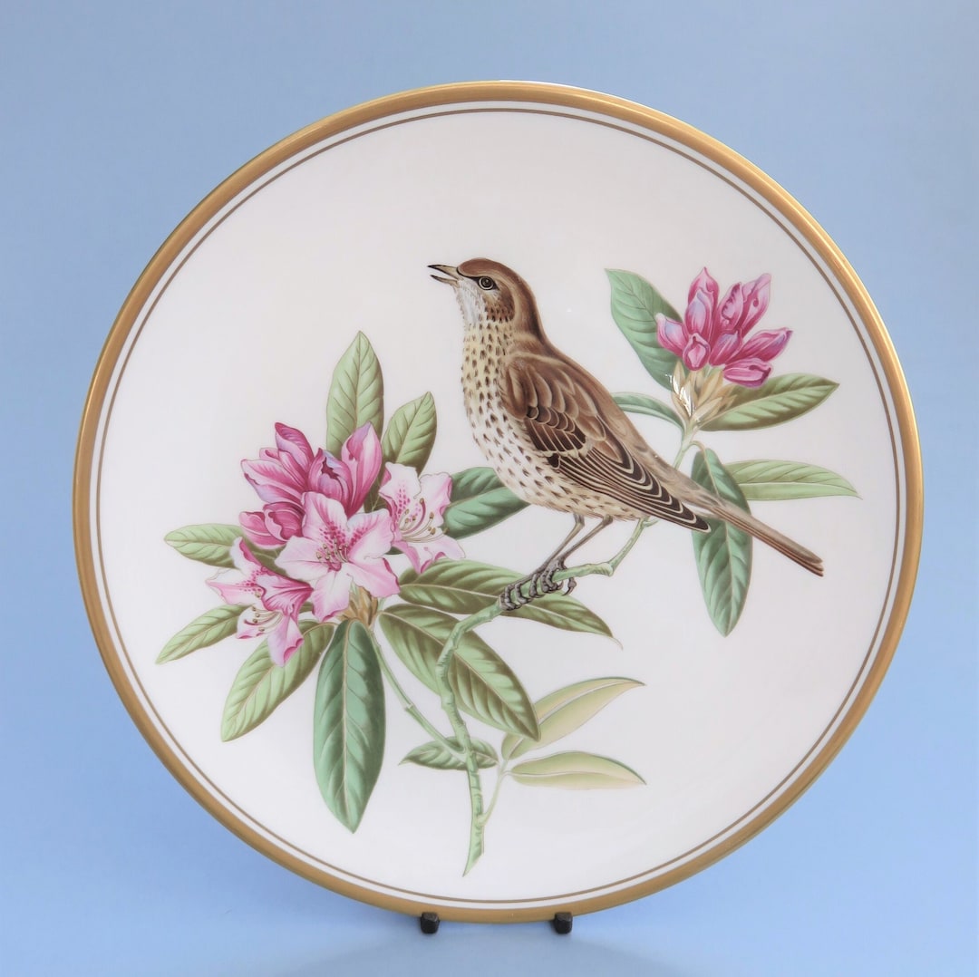 Spode Garden Birds Plate Beautiful Mistle Thrush Collectible Plate in ...