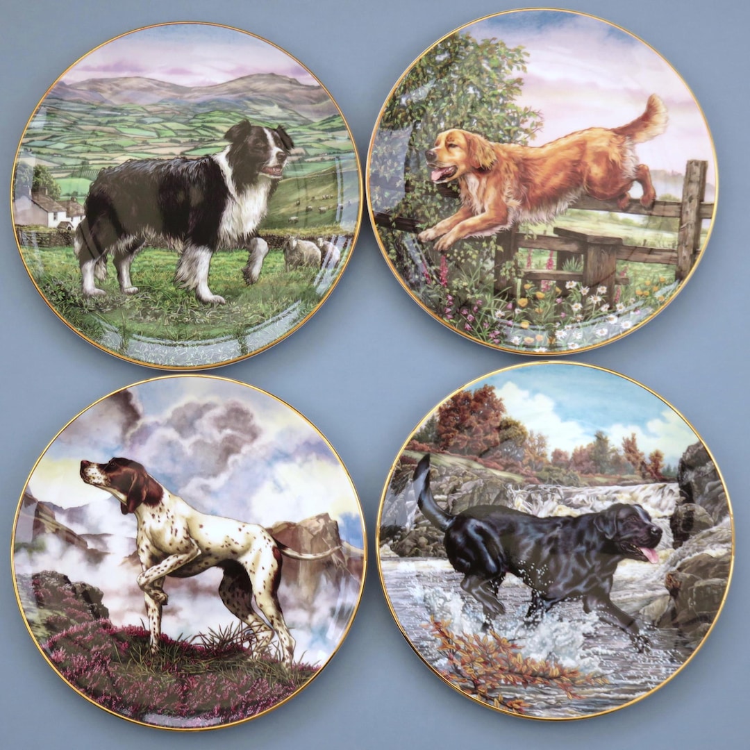 Dogs in Action Plates by Royal Doulton. Choose From - Border Collie ...