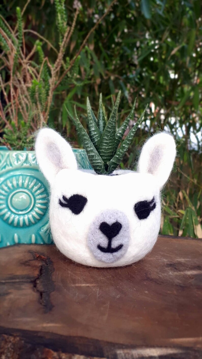 Llama planter cute plant pot llama decor small succulent | Etsy