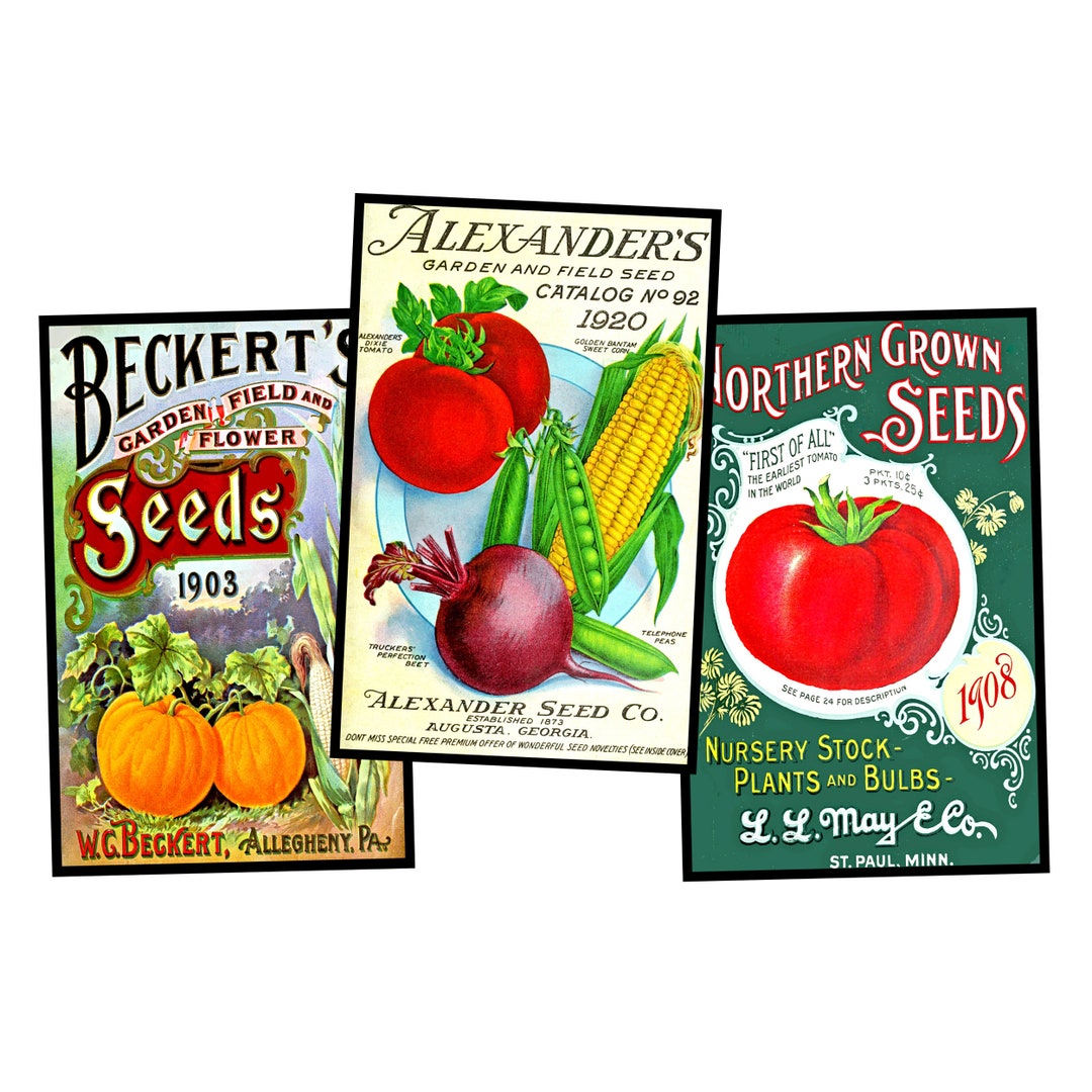 Garden Seed Packet Postcard Illustrations for Making Gardener's Gifts ...