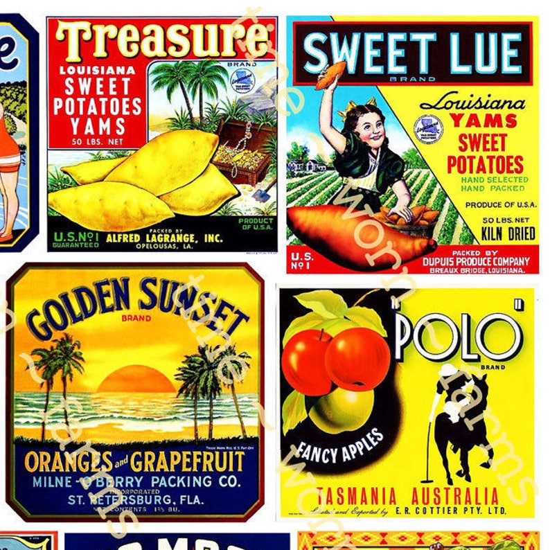 Vintage Fruit Crate Label, Collage Paper Craft Sheet, Kitchen ...