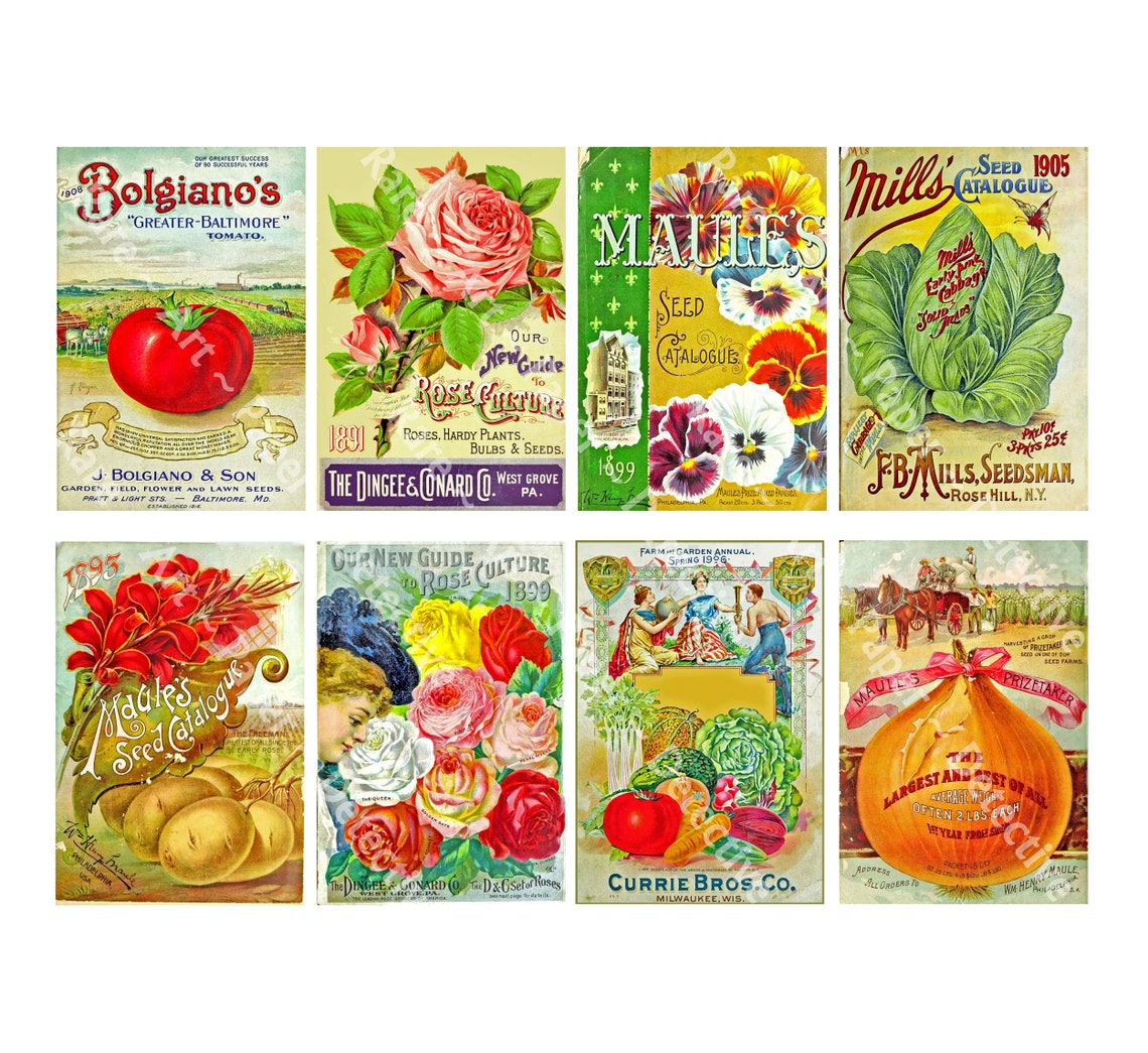 8 Pcs Garden Seed Label Set & Antique Seed Pack Catalog Covers, Farm ...