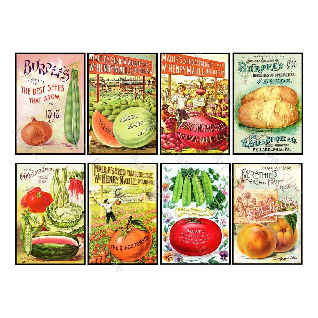 8 Pcs Garden Seed Label Set & Antique Seed Pack Catalog Covers, Farm ...