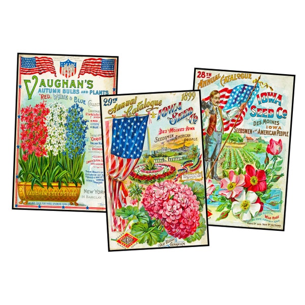 RarePaperDigitalShop - Etsy