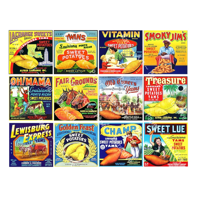 Louisiana Sweet Potato Labels, DIGITAL Sheet, Kitchen Wall Art, Yam ...
