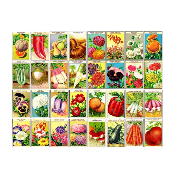 Seed Packets - Etsy