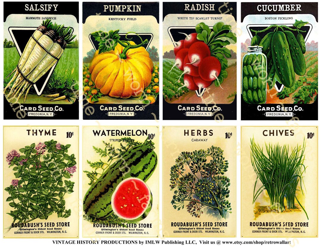 Kitchen Wall Decor Vintage Seed Packets Paper Craft Sheet - Etsy