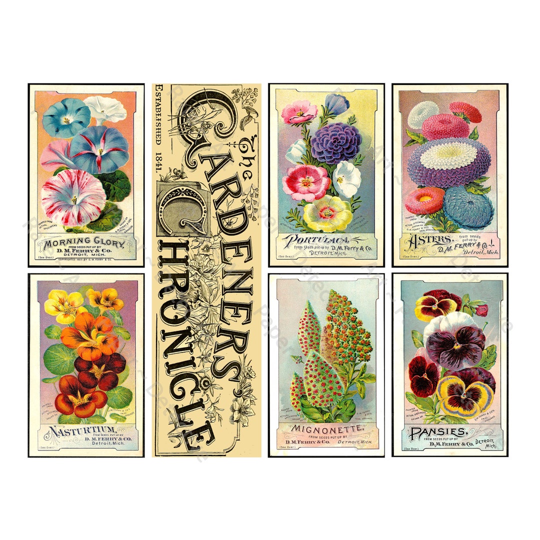 Garden Seed Packet Illustrations for Making Gardener's Gifts Greeting ...