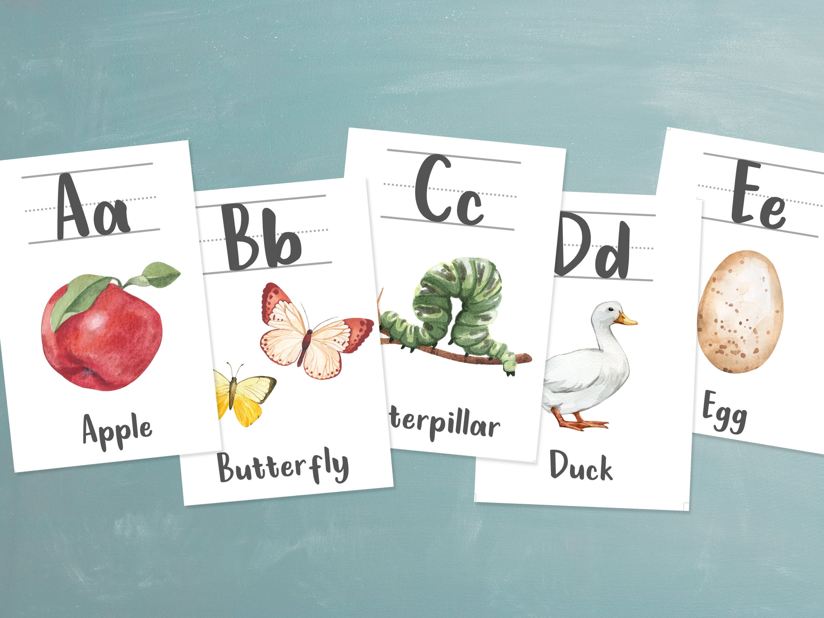 Nature Alphabet Cards, Wall and Flash Card Sizes, Watercolor ...