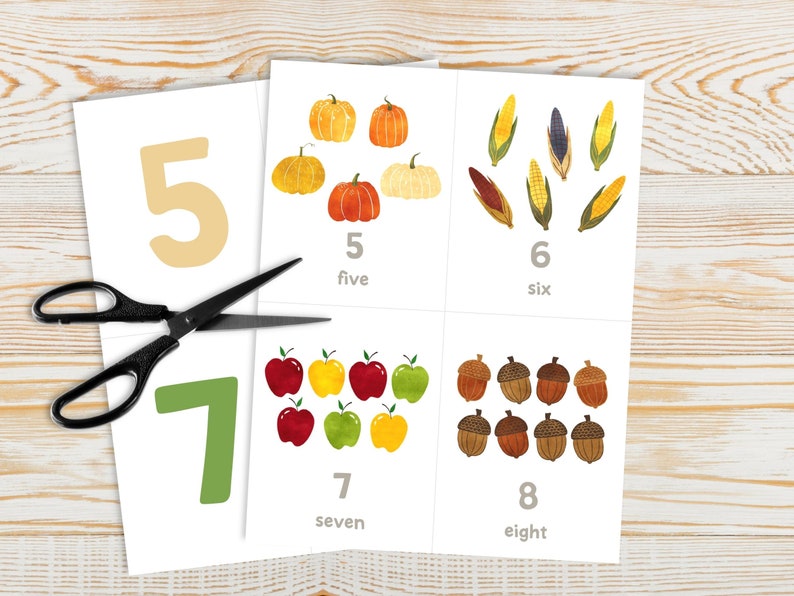 Fall Number Flash Cards: Homeschool Matching Game (PDF) - Etsy