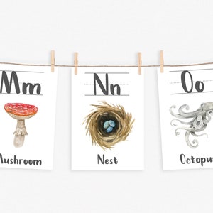 Nature Alphabet Cards, Wall and Flash Card Sizes, Watercolor ...