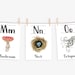 Nature Alphabet Cards, Wall and Flash Card Sizes, Watercolor ...
