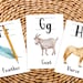 Nature Alphabet Cards, Wall and Flash Card Sizes, Watercolor ...