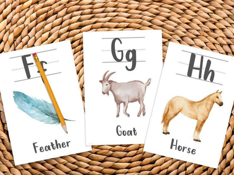 Nature Alphabet Cards, Wall and Flash Card Sizes, Watercolor ...