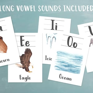 Nature Alphabet Cards, Wall and Flash Card Sizes, Watercolor ...