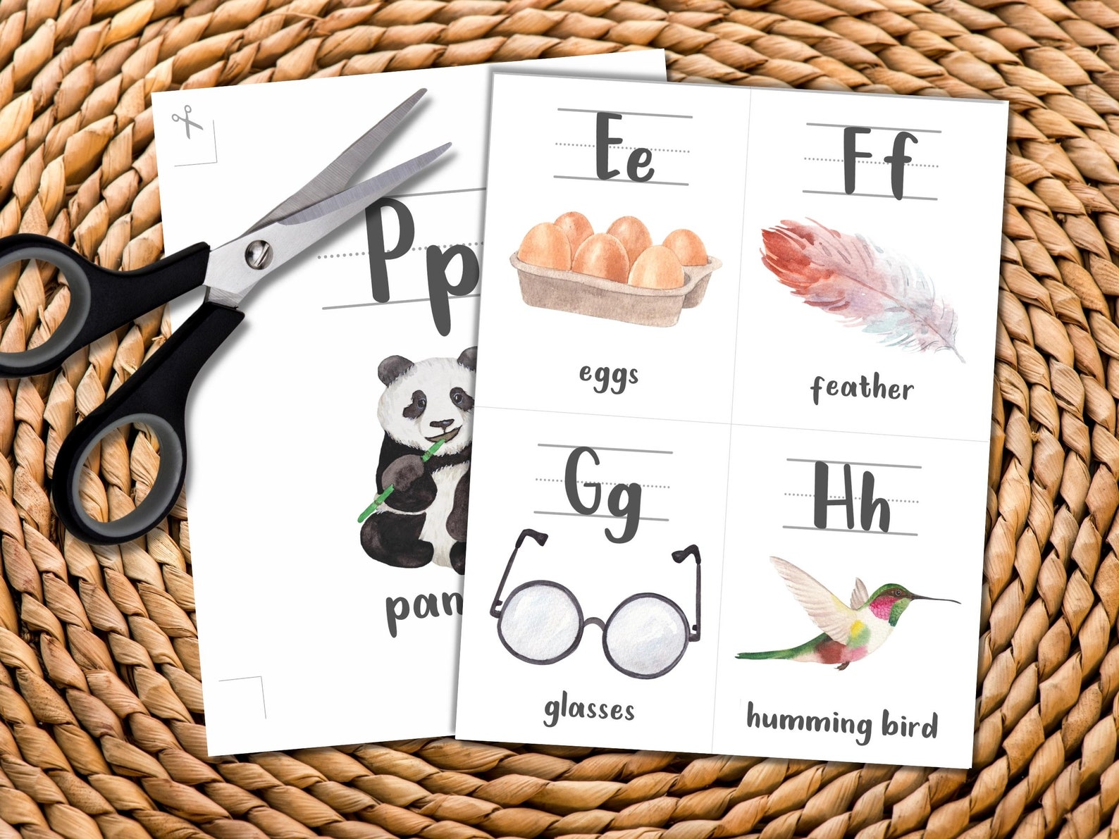 Watercolor Alphabet Cards Both Classroom Size and Flashcard - Etsy