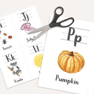 Nature Alphabet Cards, Wall and Flash Card Sizes, Watercolor ...