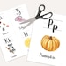 Nature Alphabet Cards, Wall and Flash Card Sizes, Watercolor ...