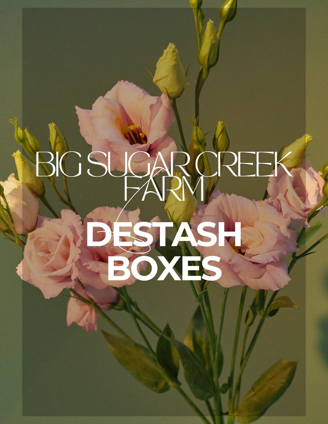 DESTASH Box, Bundle Deal, Clearance Items - Etsy