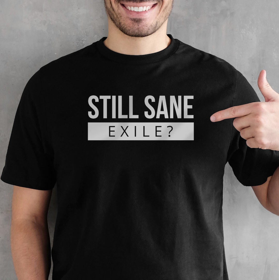 Poe Player Funny Gift for Gamer ARPG Player Humor Gaming Hoodie Still ...