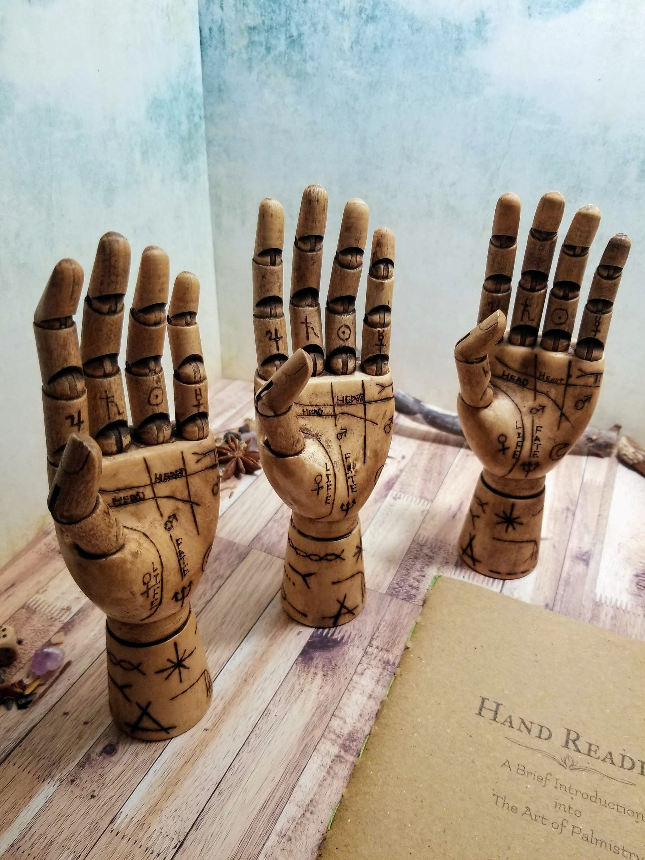 Palm Reading Hand With Palmistry Guide Book and Magnifier - Etsy Hong Kong