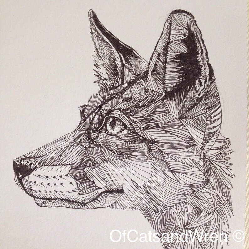 Fox Giclee Print From Original Pen and Ink Drawing Signed - Etsy UK